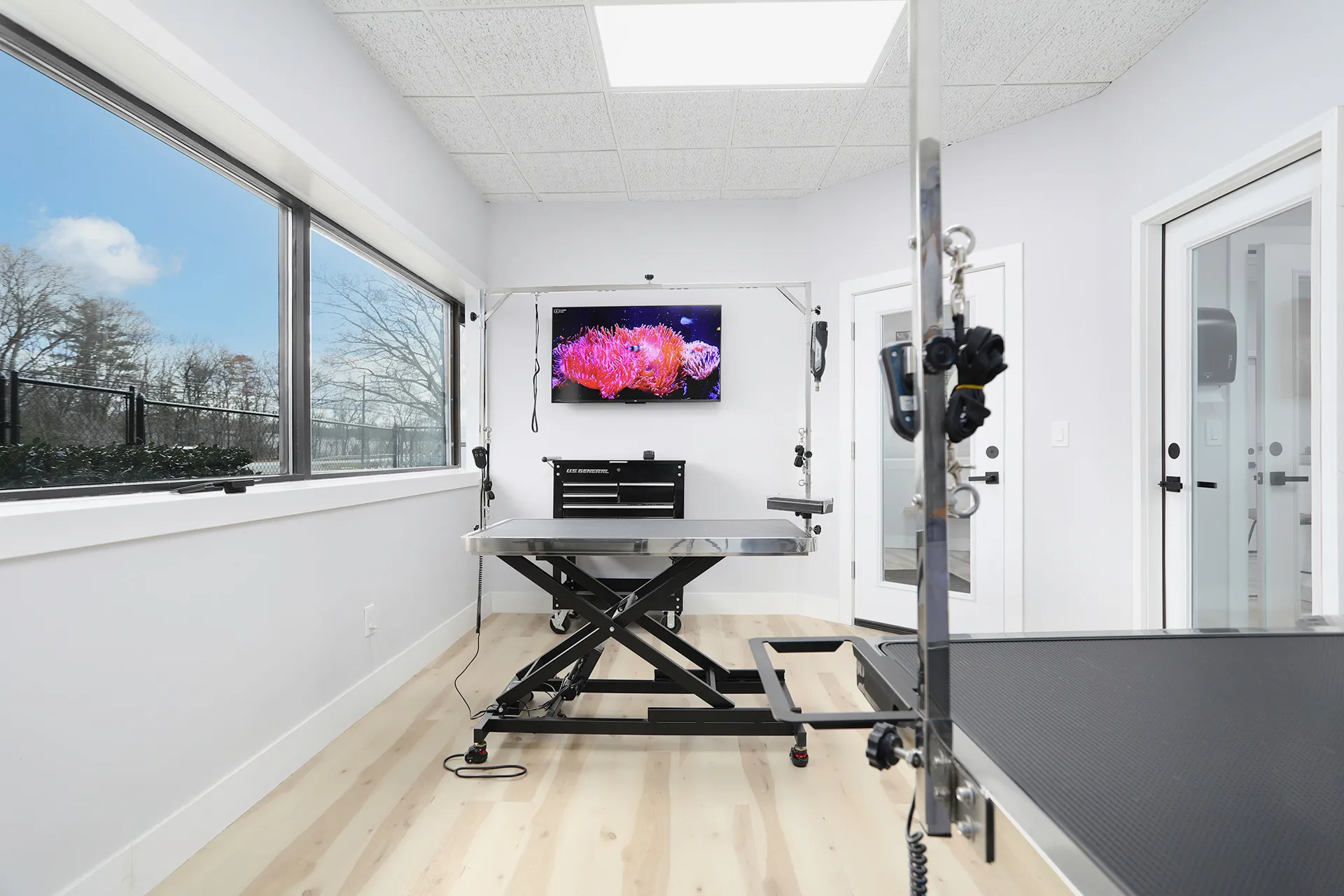 MyK9 Daycare Grooming Boarding Training